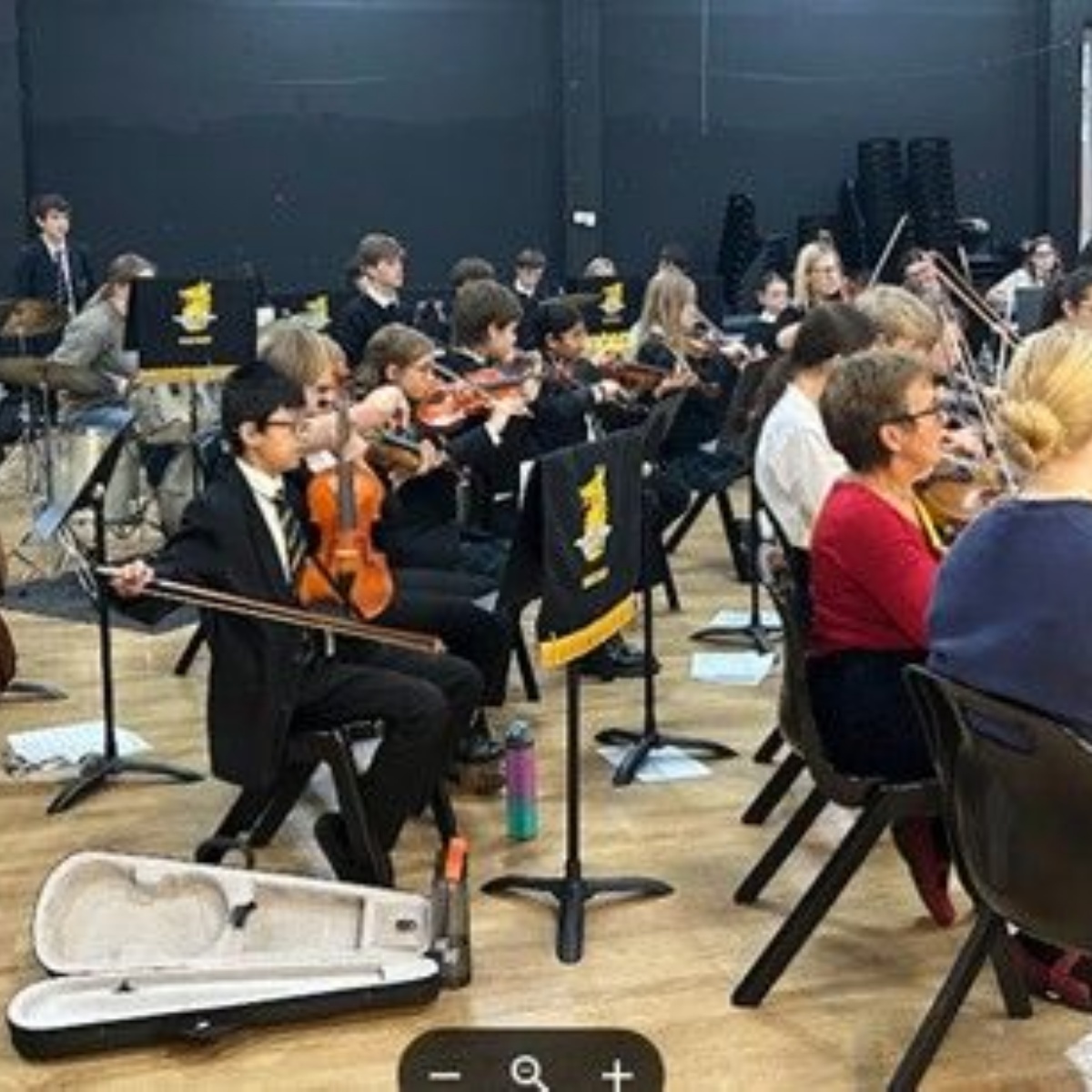 Dane Court Grammar School - Collaborative Orchestral Workshop