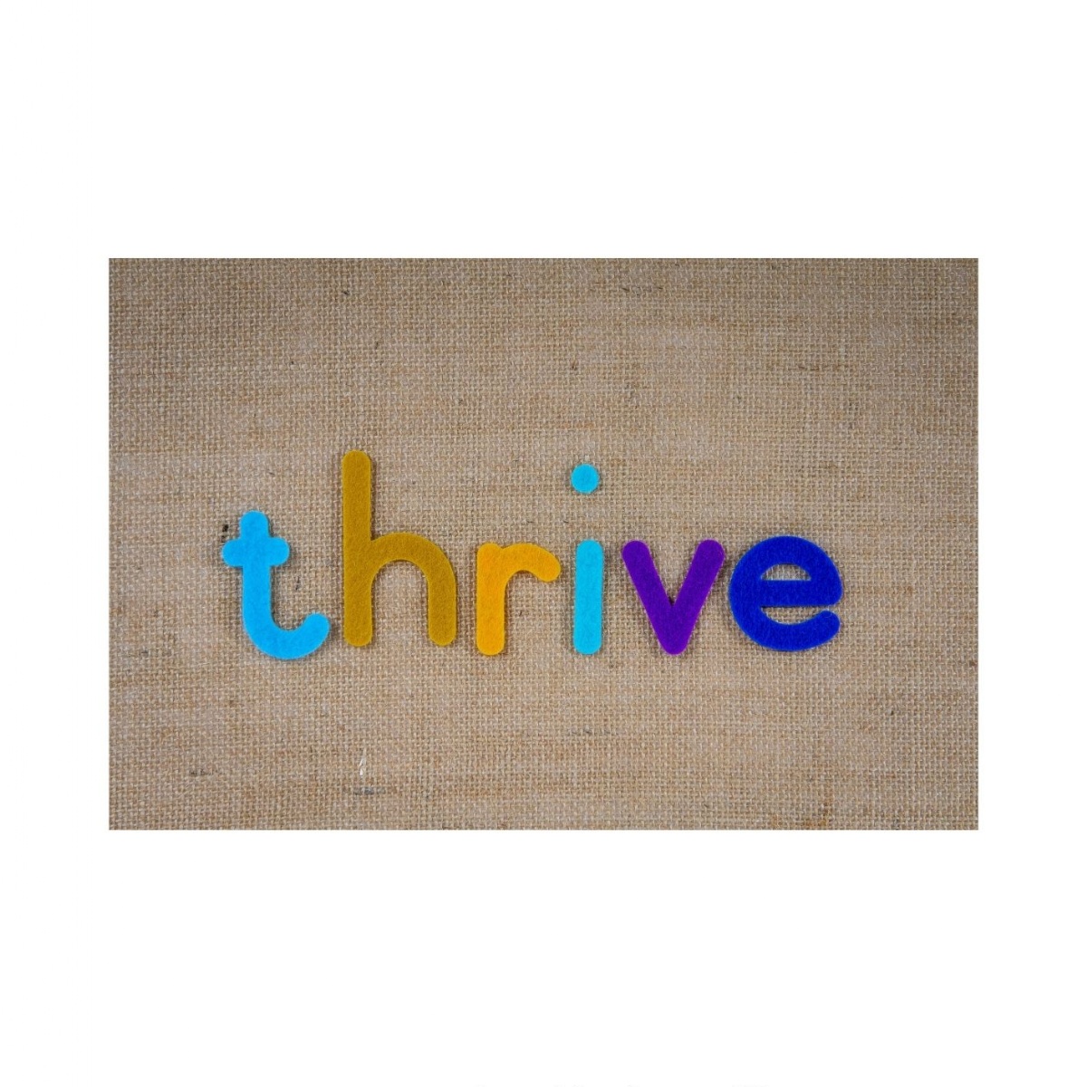 Dane Court Grammar School - Thrive Sessions