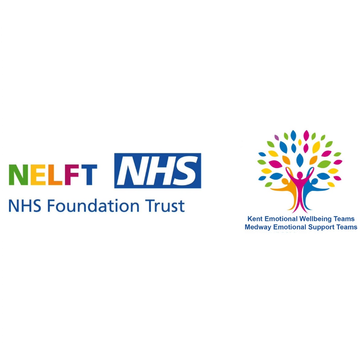 Dane Court Grammar School - Item Not Available